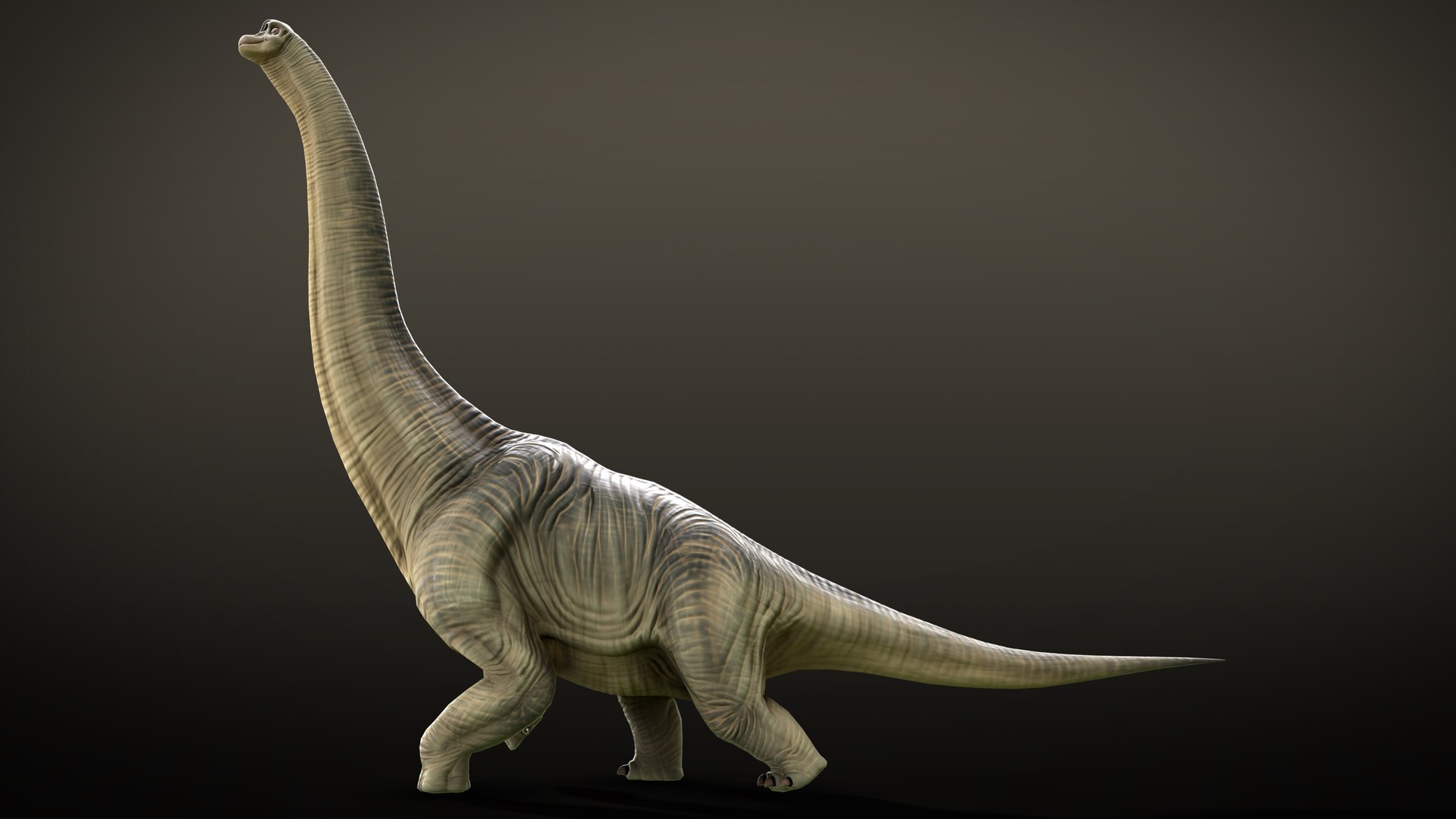 Rigged Brachiosaurus Animations 3D Model - TurboSquid 1376211