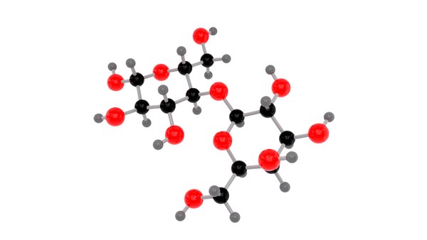 modelo 3d Lactosa - Molécula - TurboSquid 2172340