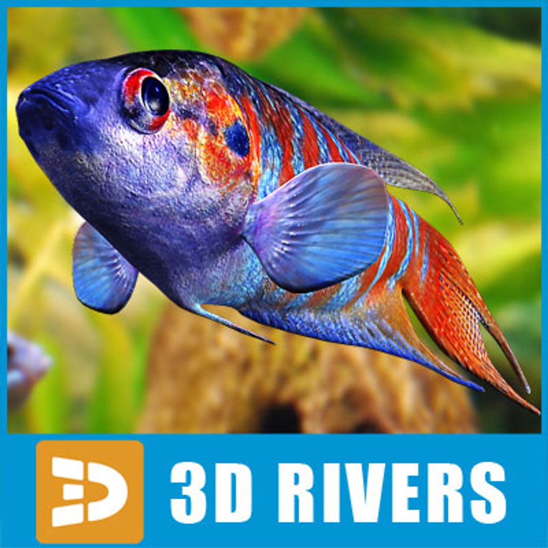 paradise fish aquarium 3d max