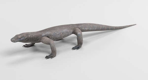 3D model komodo dragon - TurboSquid 1218867