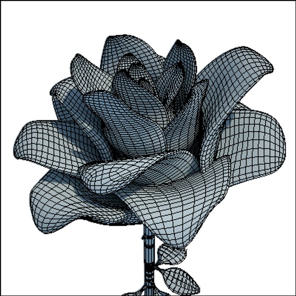 3d rose model