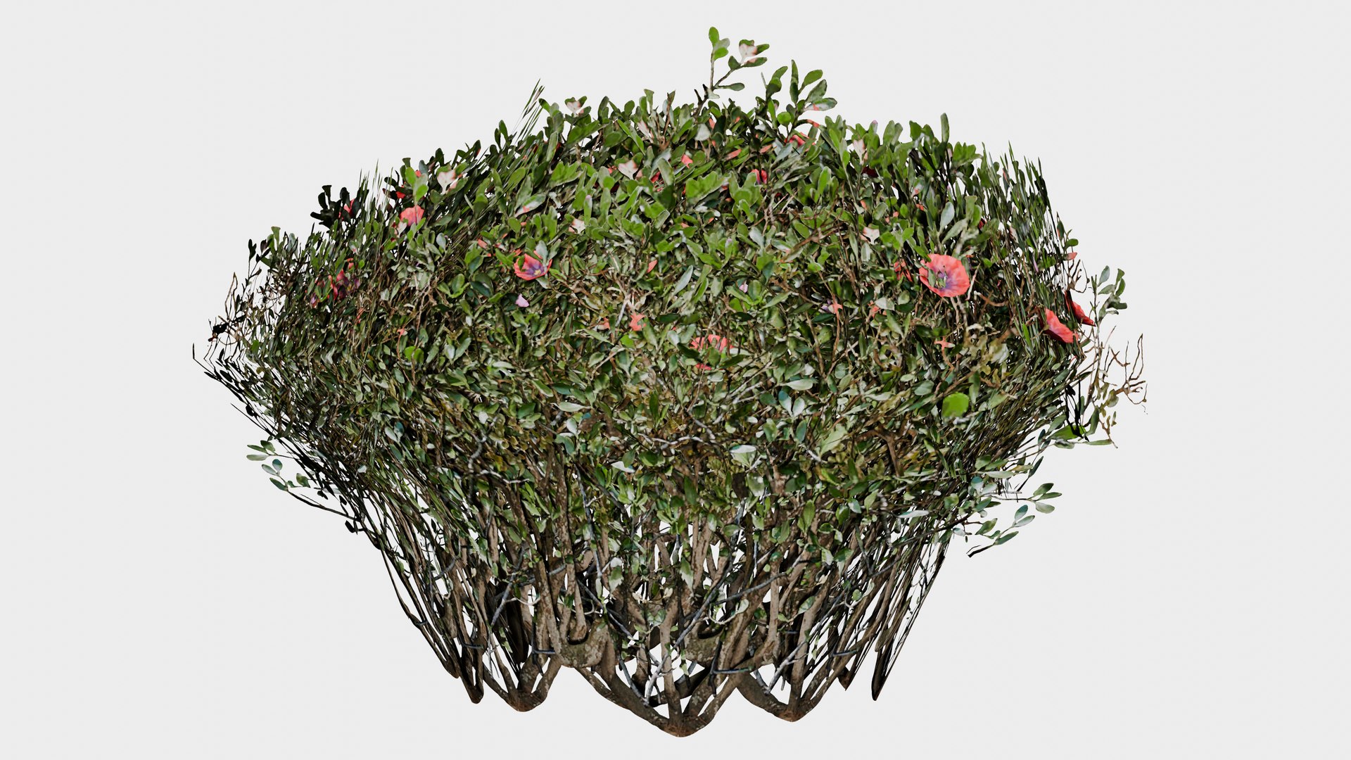 3D 12 In 1 Bushes Collection 03 Garden - TurboSquid 2389800