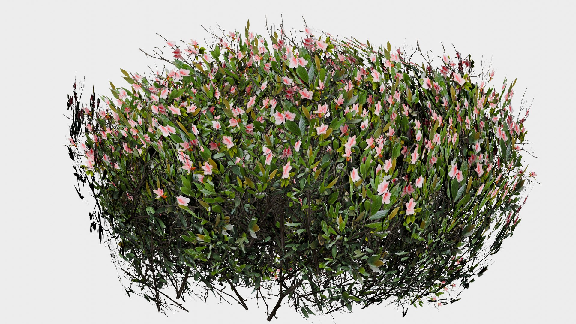 3D 12 In 1 Bushes Collection 03 Garden - TurboSquid 2389800