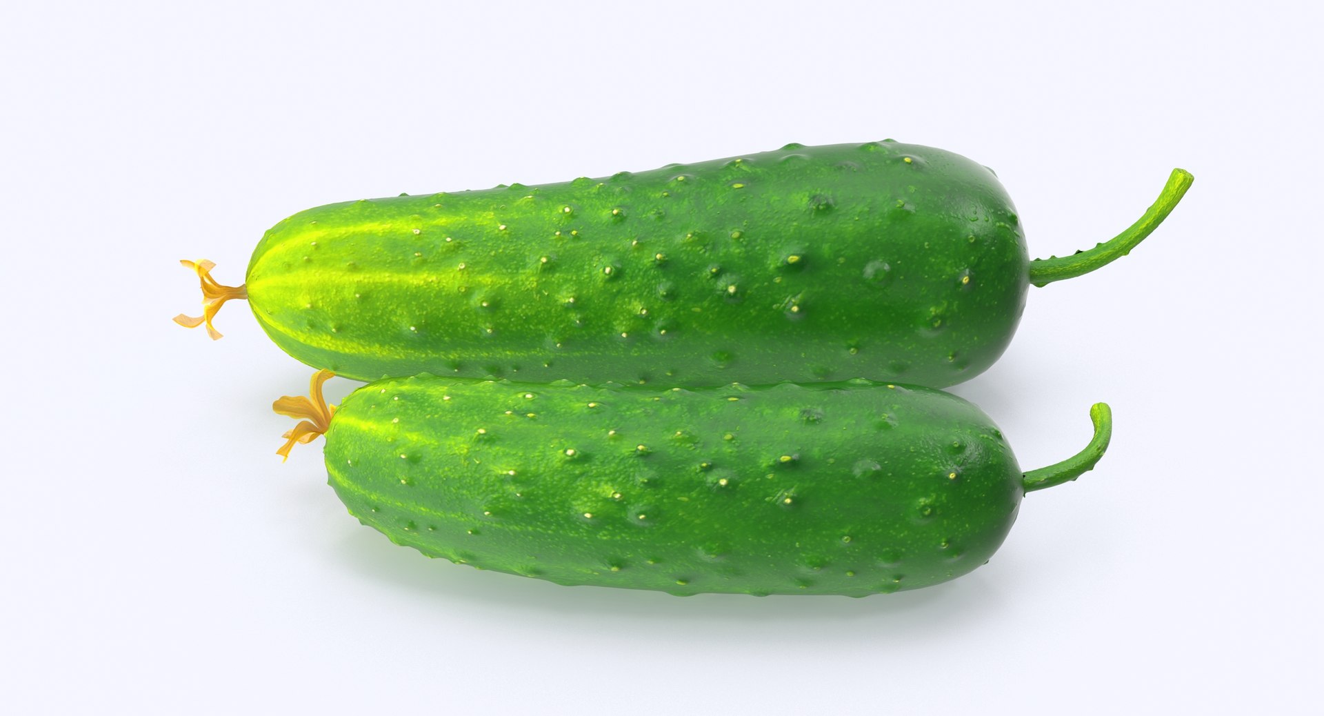 3d model cucumber