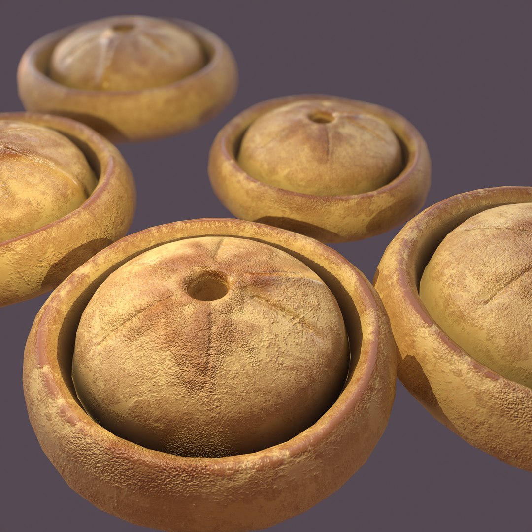 Medieval meat pie 3D model - TurboSquid 1430874