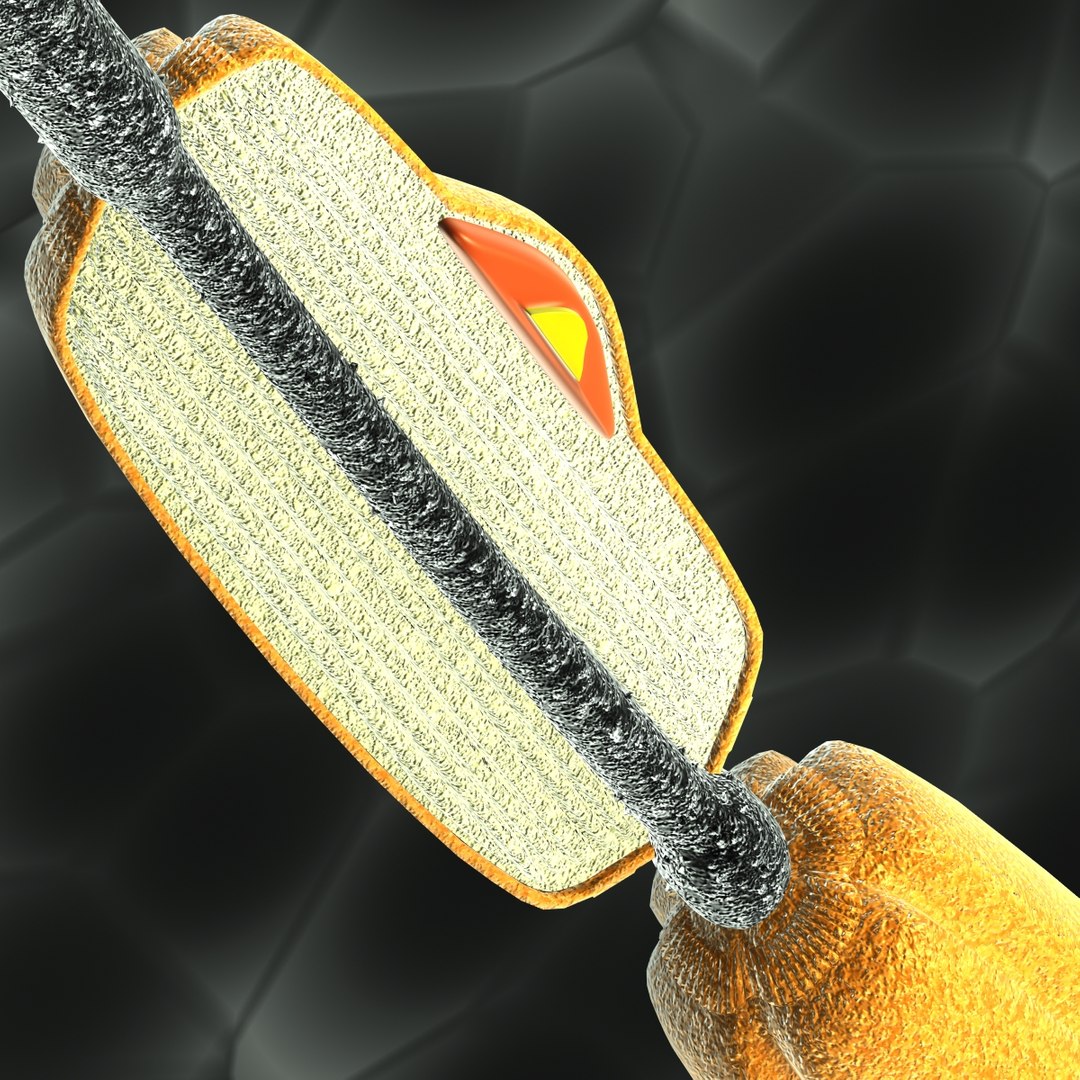 Neuron Synapse Network C4d