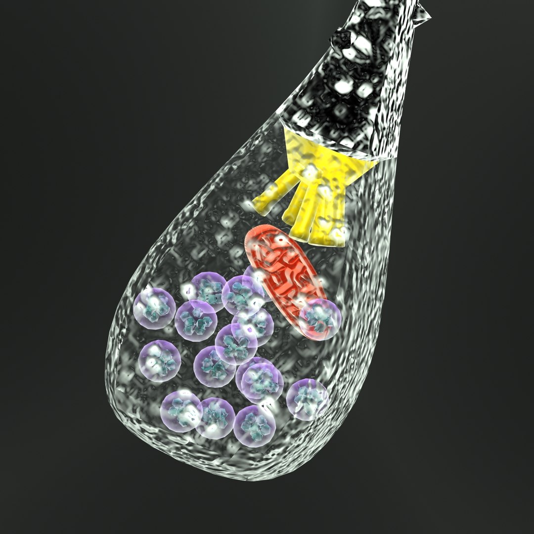 Neuron Synapse Network C4d