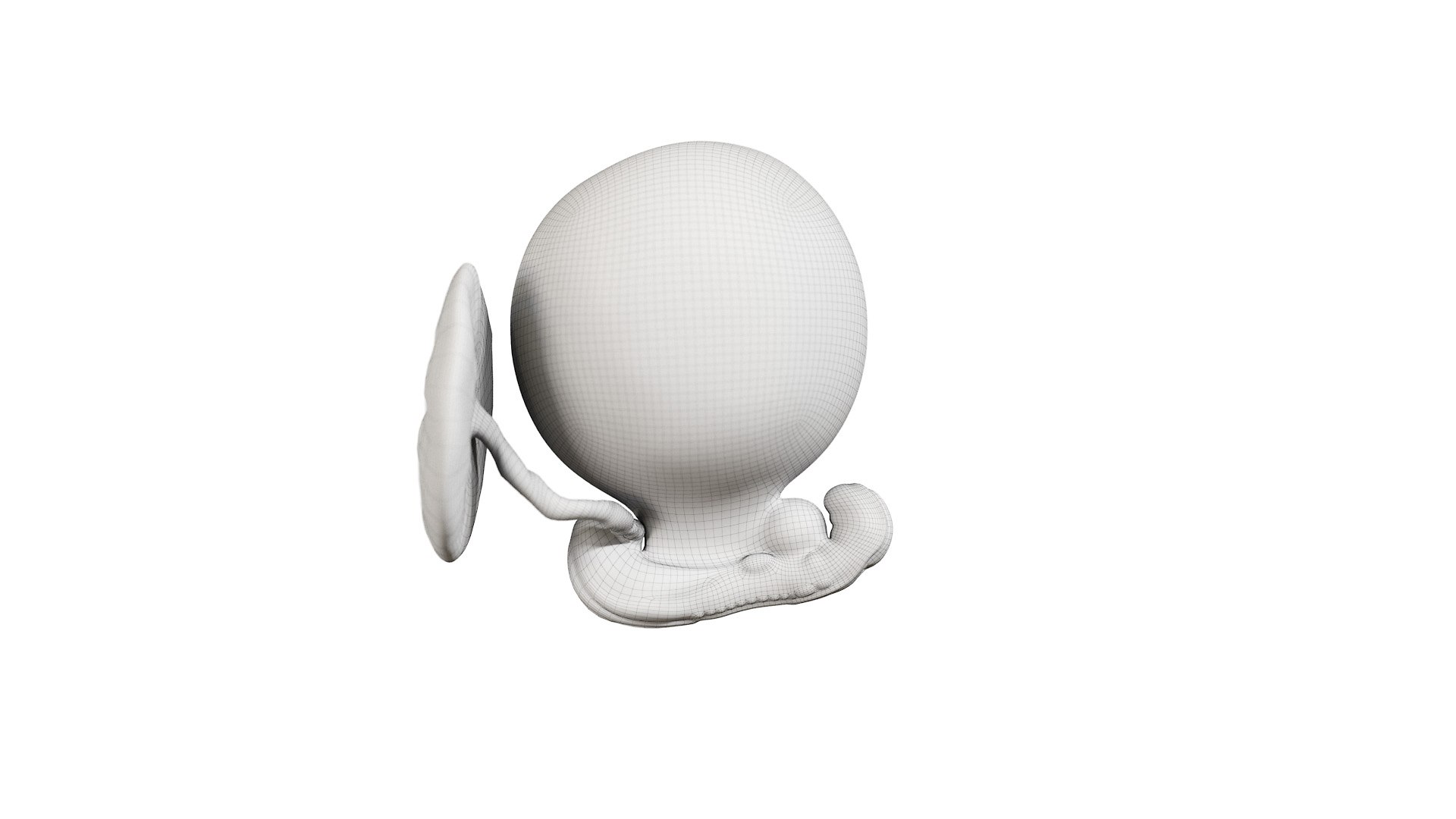 3D Human Embryo Stage 11 - TurboSquid 1828996