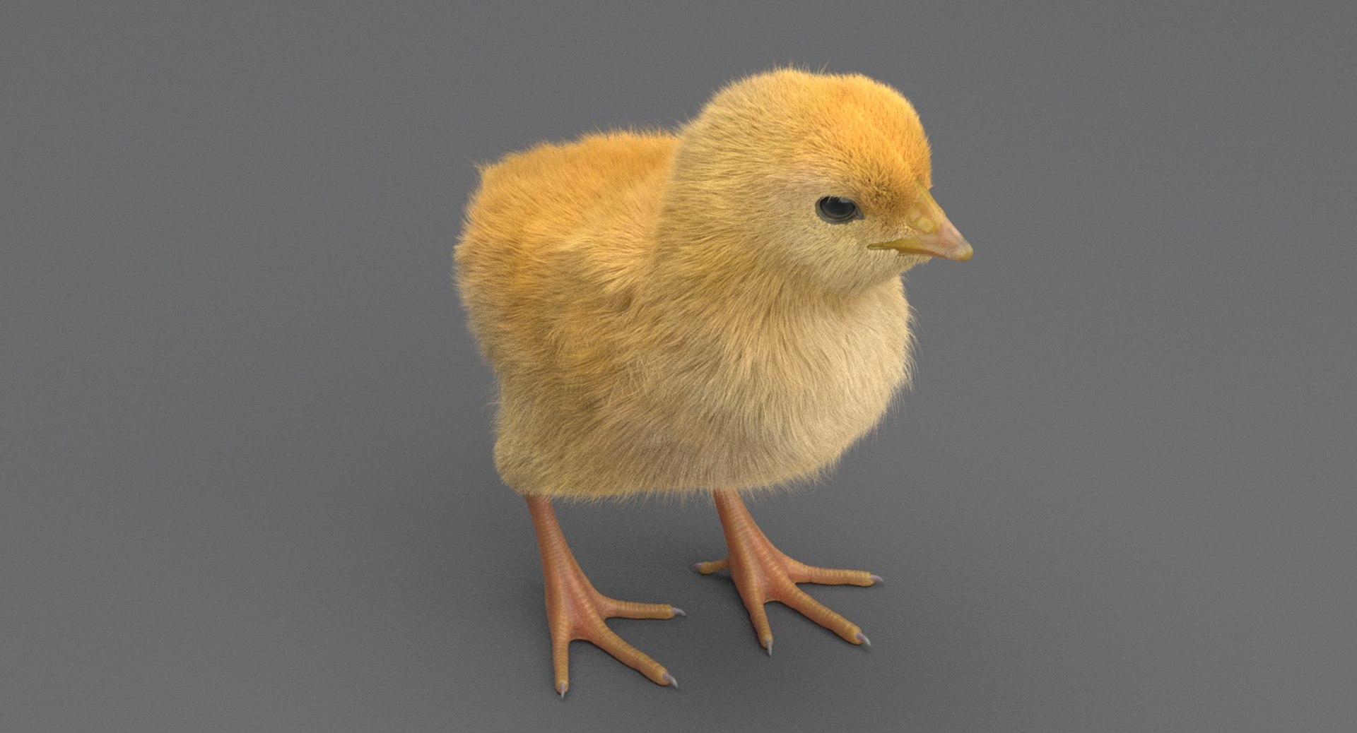 3D chick rig model - TurboSquid 1245523