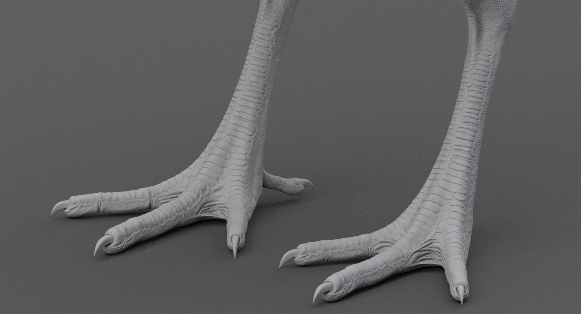 3D chick rig model - TurboSquid 1245523