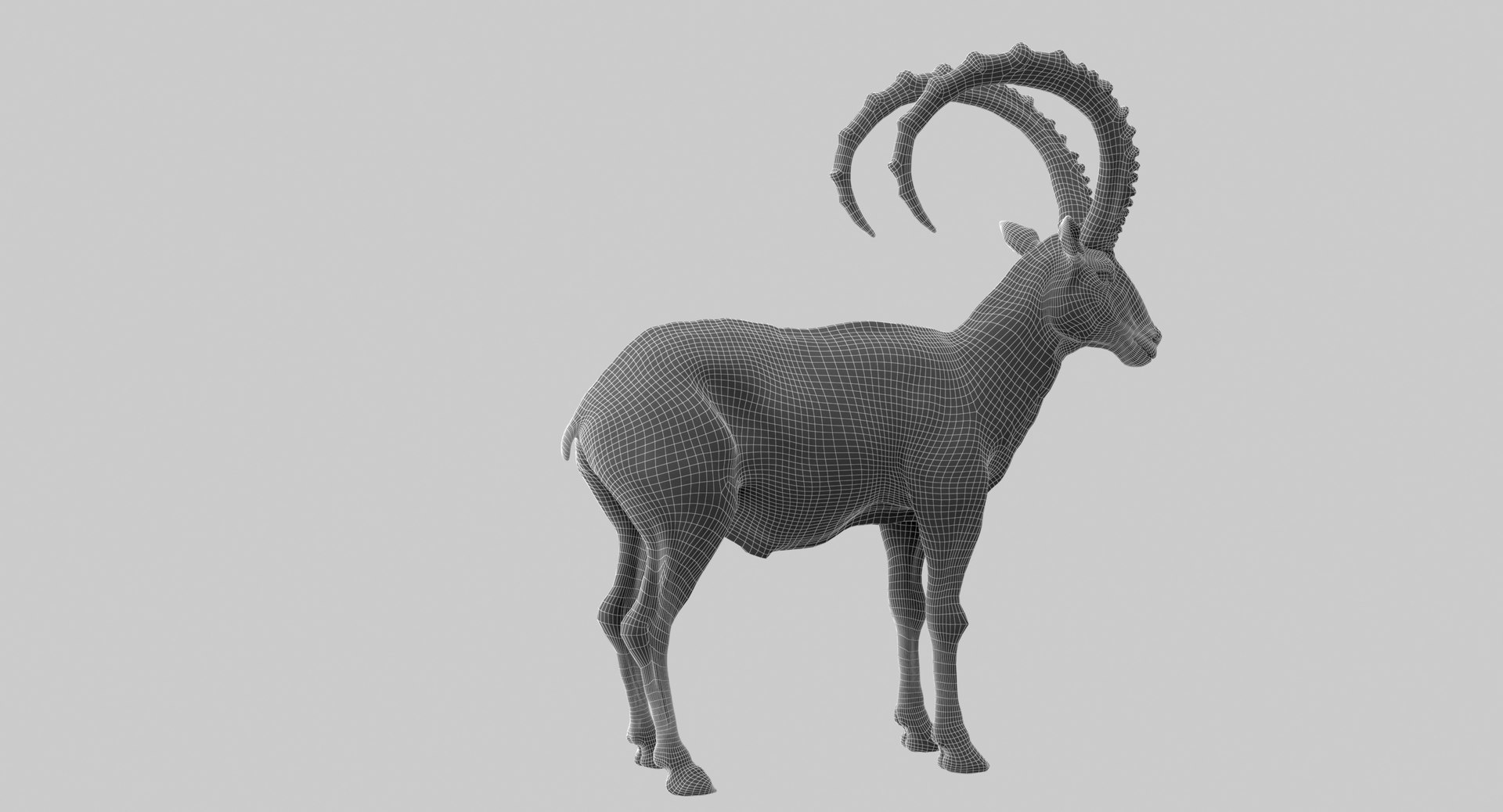3D Wild Goat Model - TurboSquid 1408021