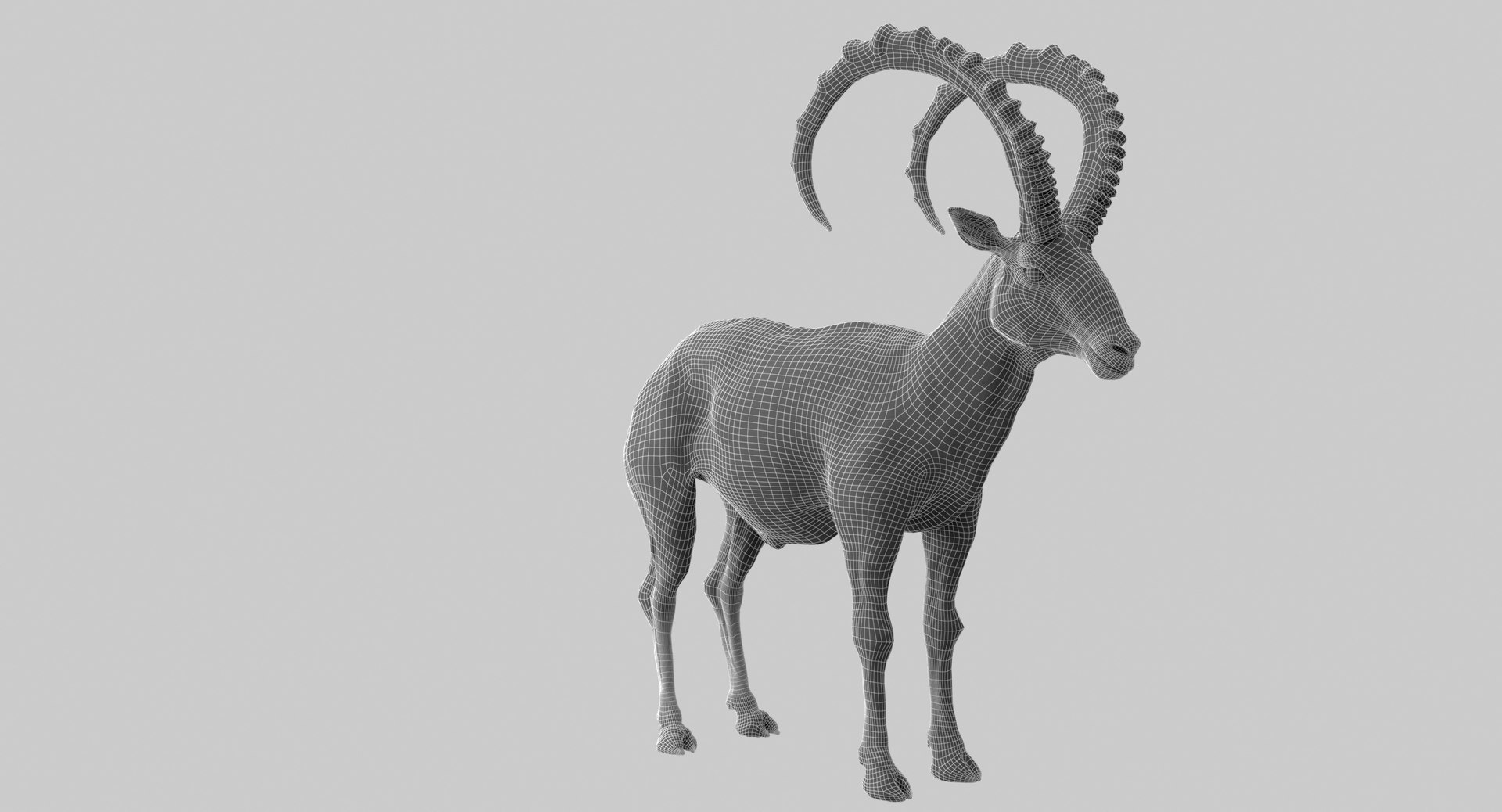3D Wild Goat Model - TurboSquid 1408021