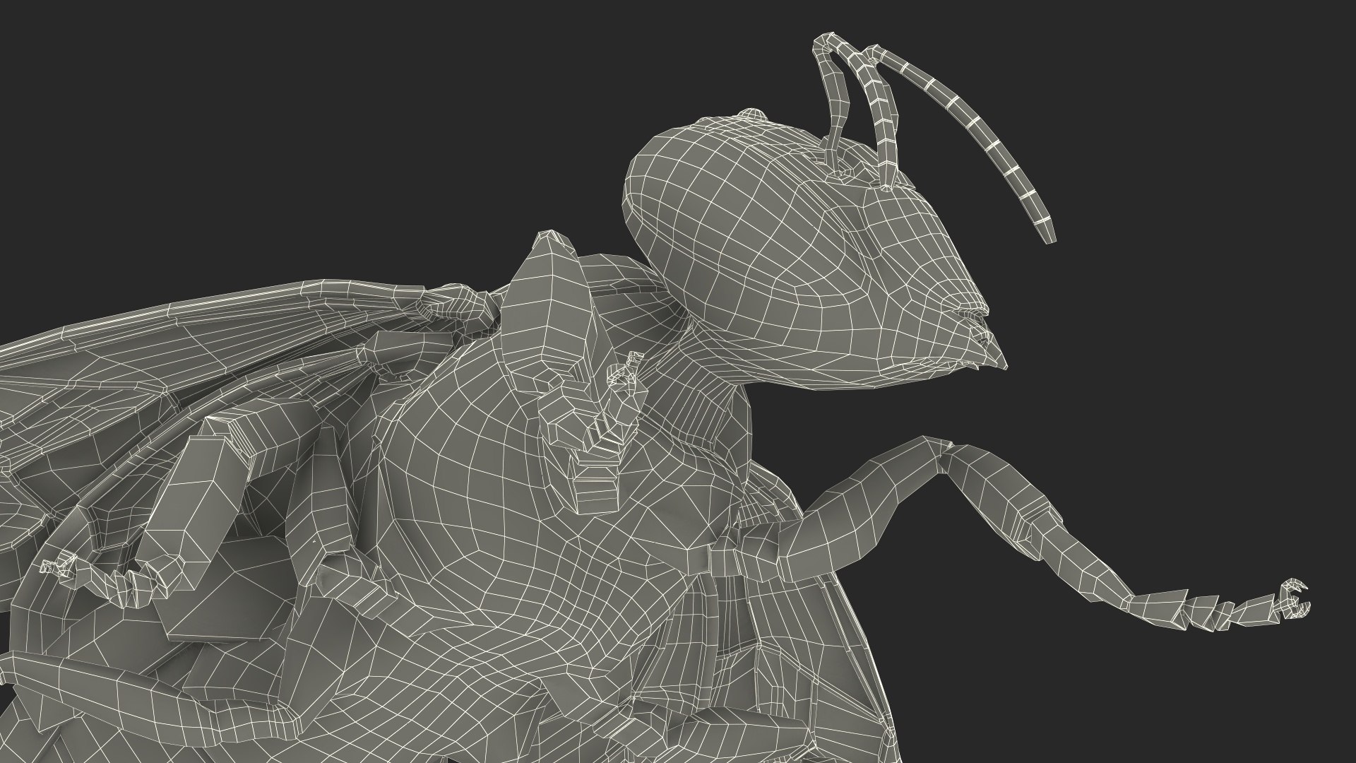 3D Model Honey Bee Fur - TurboSquid 2347591