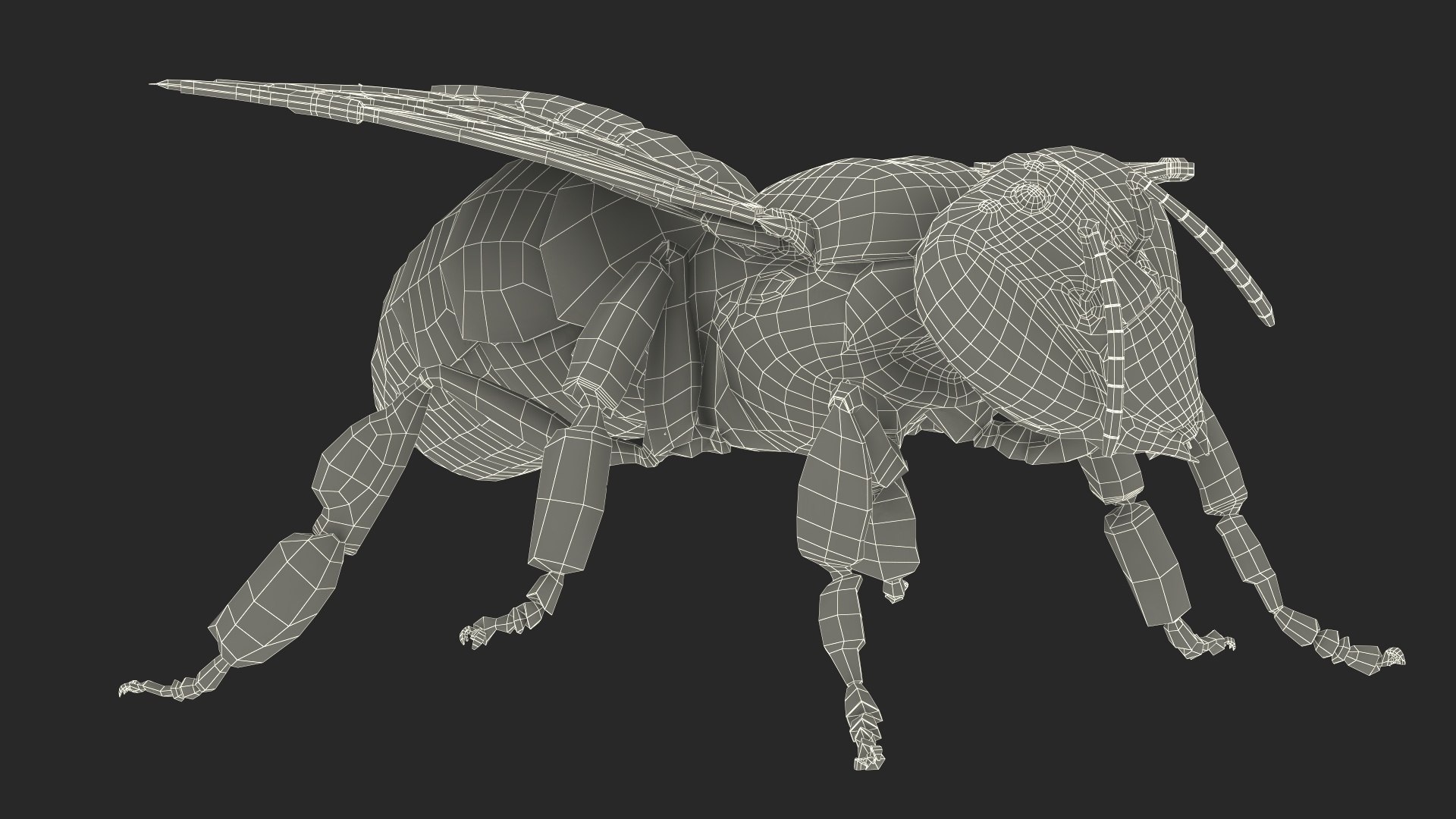 3D Model Honey Bee Fur - TurboSquid 2347591