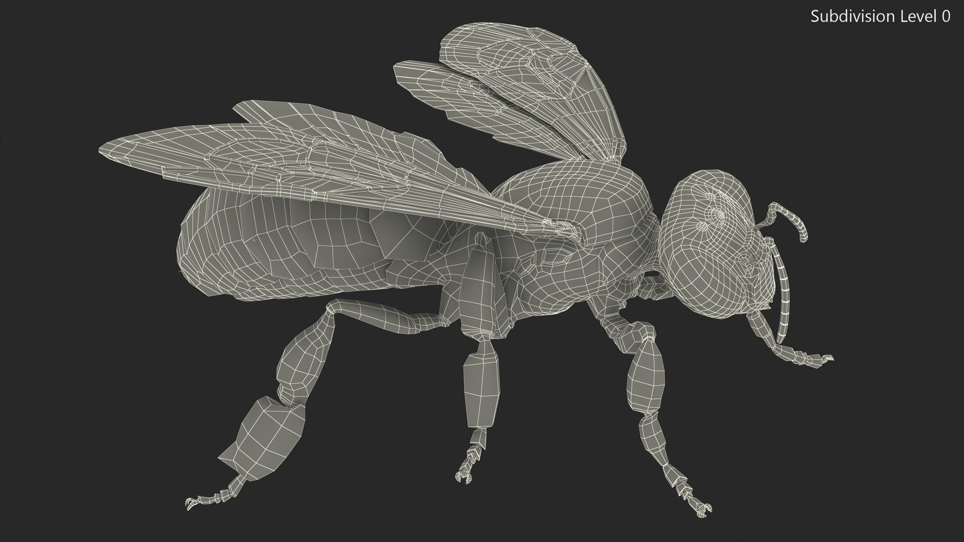 3D Model Honey Bee Fur - TurboSquid 2347591