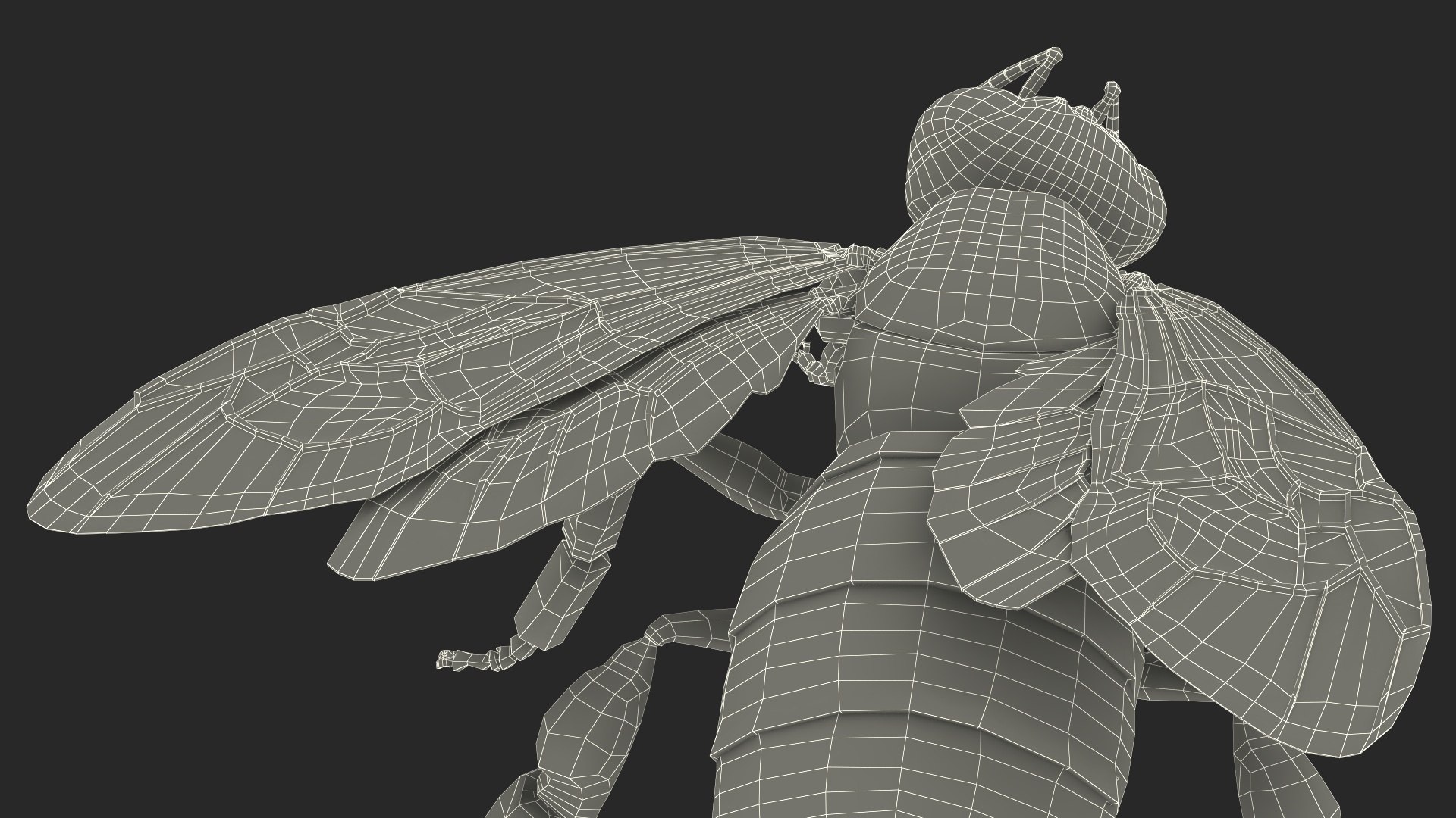 3D Model Honey Bee Fur - TurboSquid 2347591