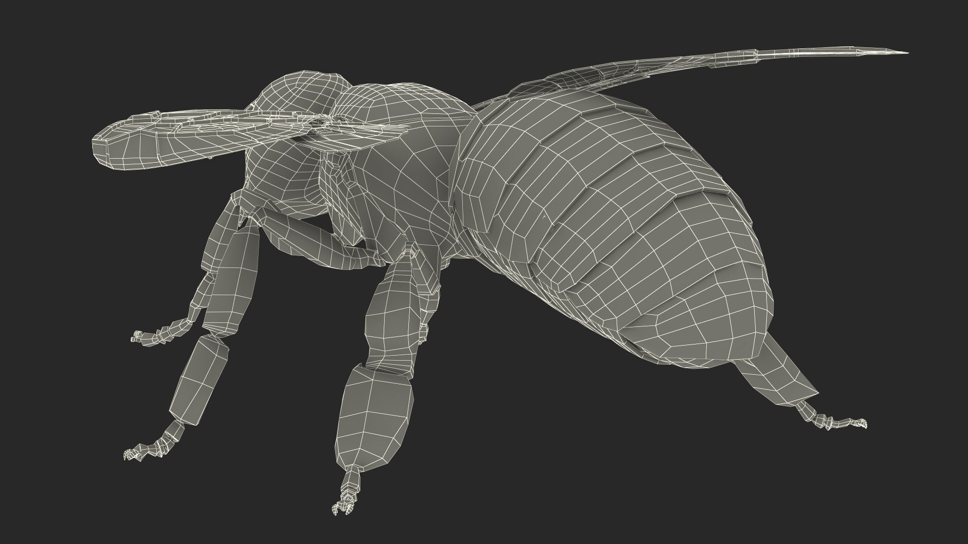 3D Model Honey Bee Fur - TurboSquid 2347591