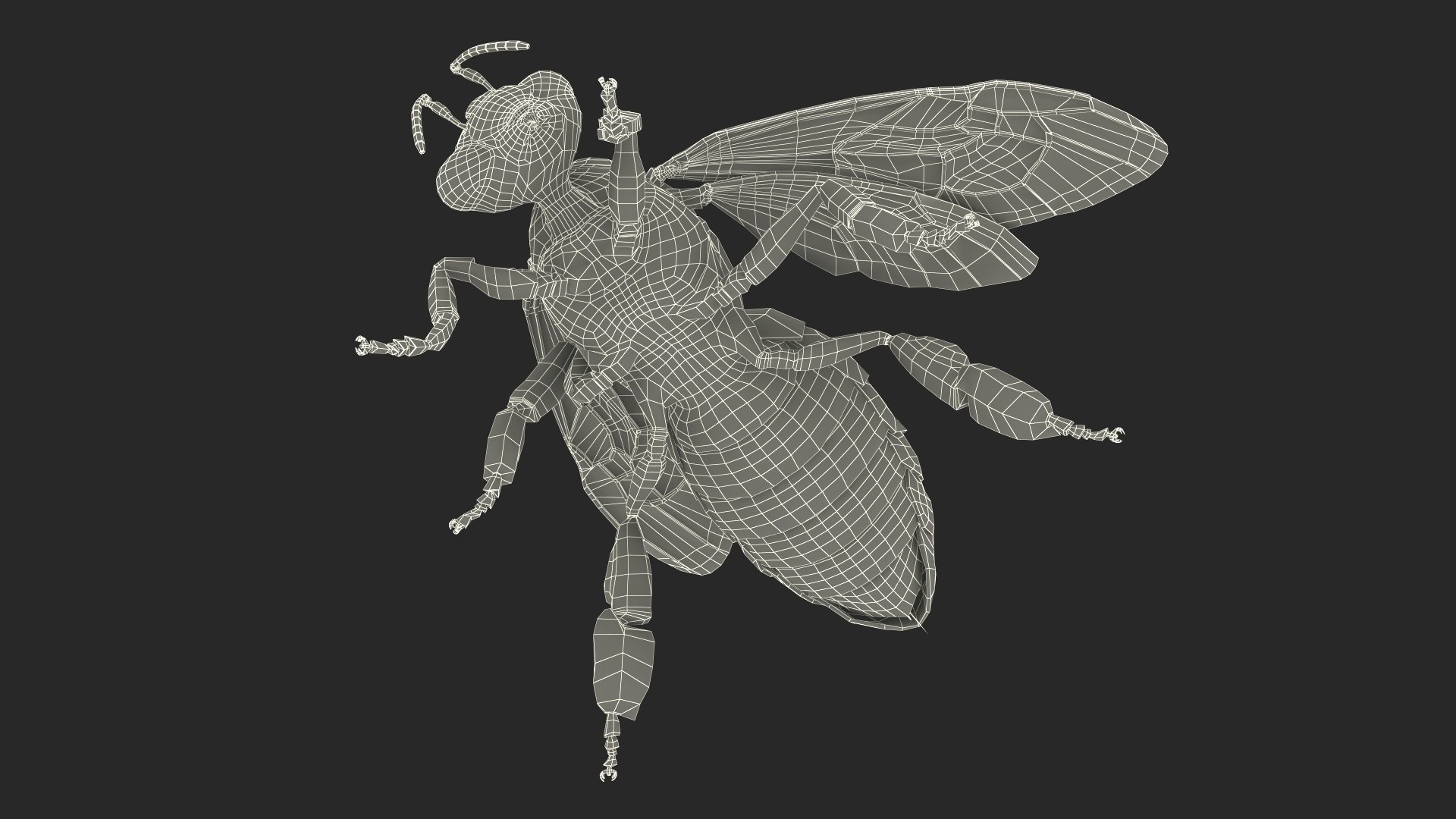 3D Model Honey Bee Fur - TurboSquid 2347591