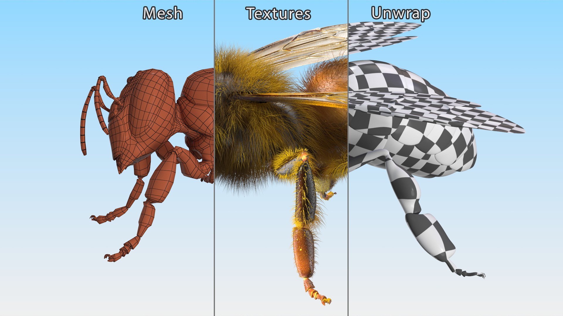 3D Model Honey Bee Fur - TurboSquid 2347591