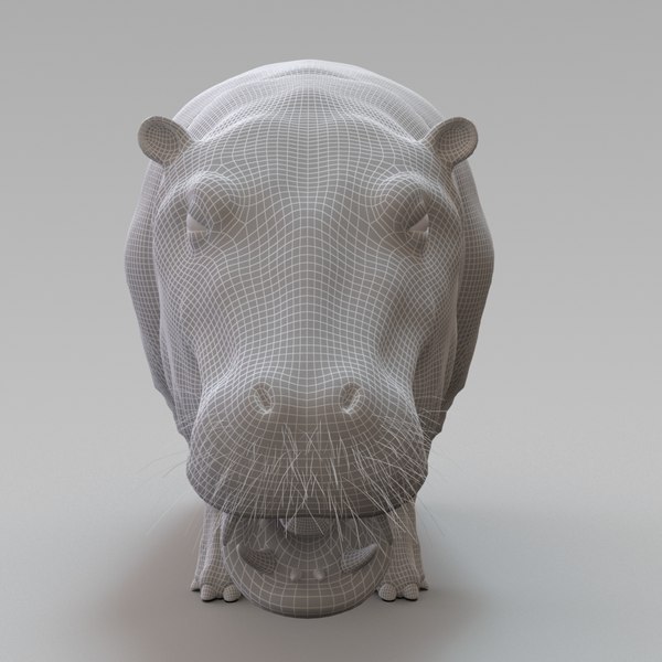 3D realistic hipopotam animation model - TurboSquid 1558753
