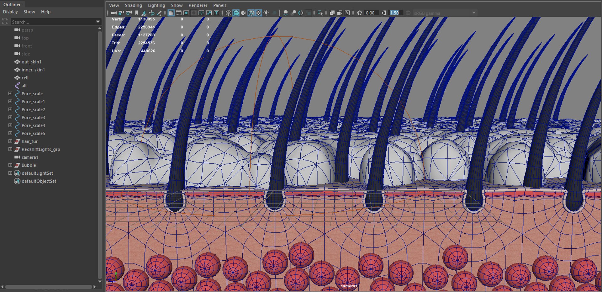 Skin Hair Anatomy 3D - TurboSquid 1587472