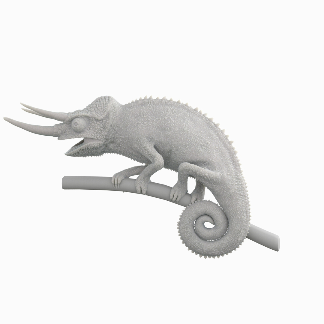 3D Jackson S Chameleon Model - TurboSquid 1565594