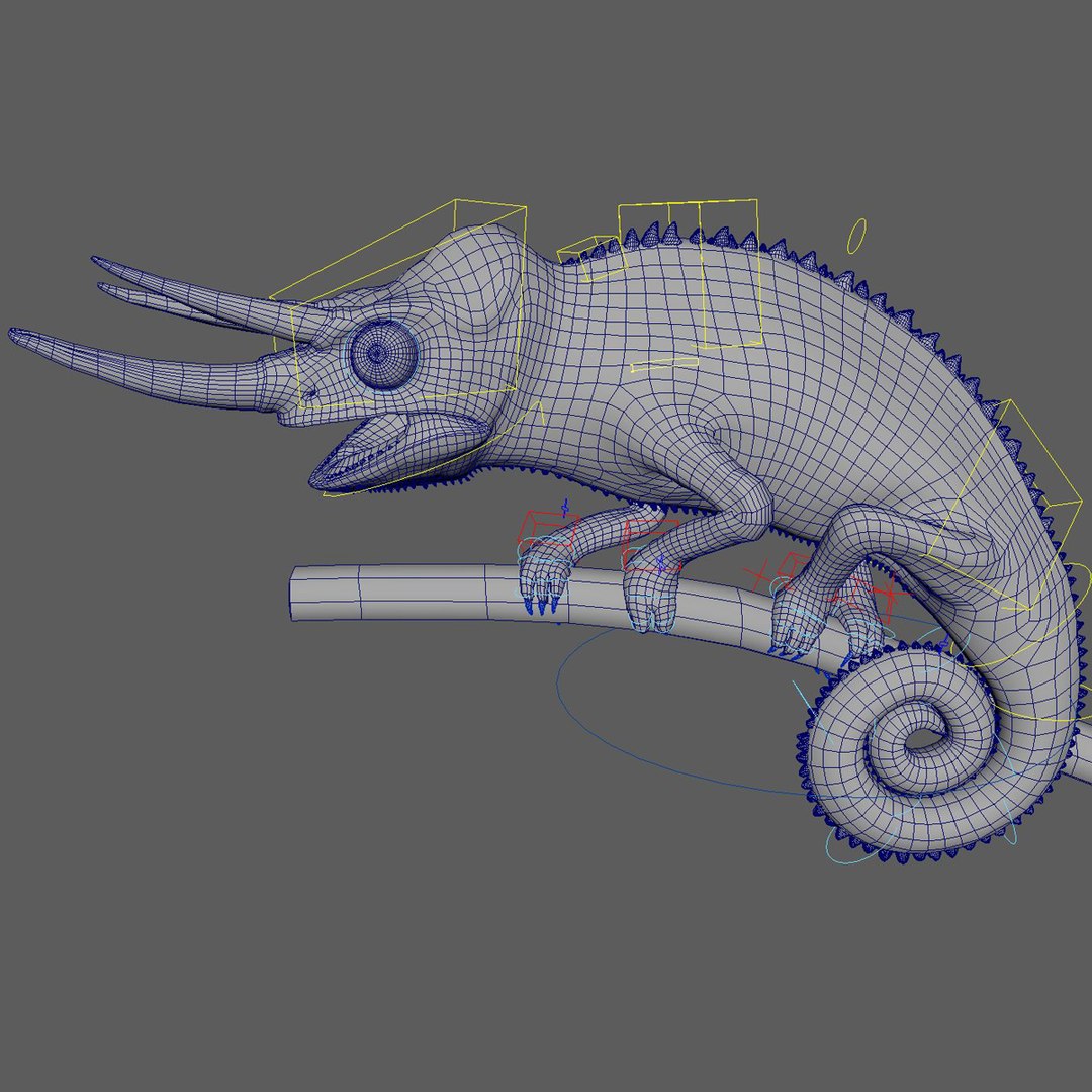 3D Jackson S Chameleon Model - TurboSquid 1565594