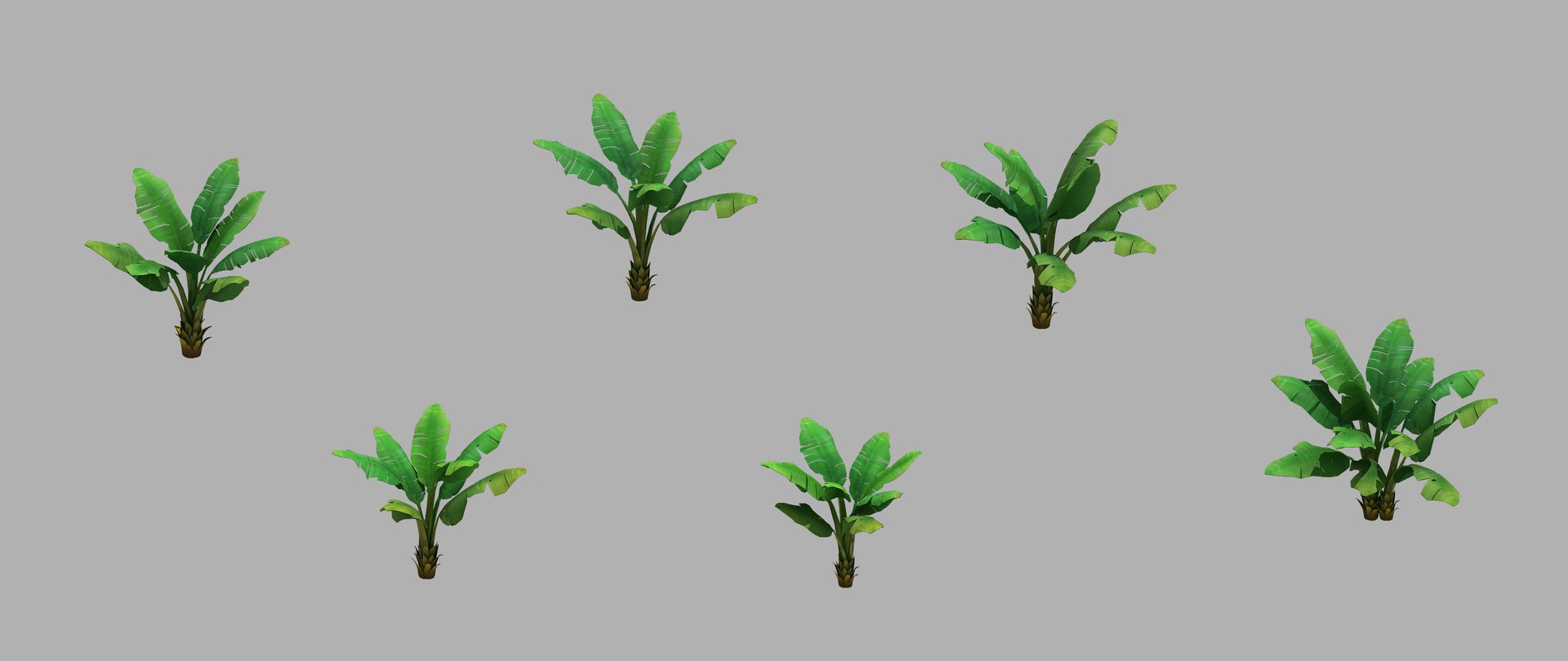 Plant - Plantain Tree 3D Model - TurboSquid 1449696