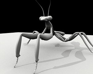 Praying Mantis Modo Models for Download | TurboSquid