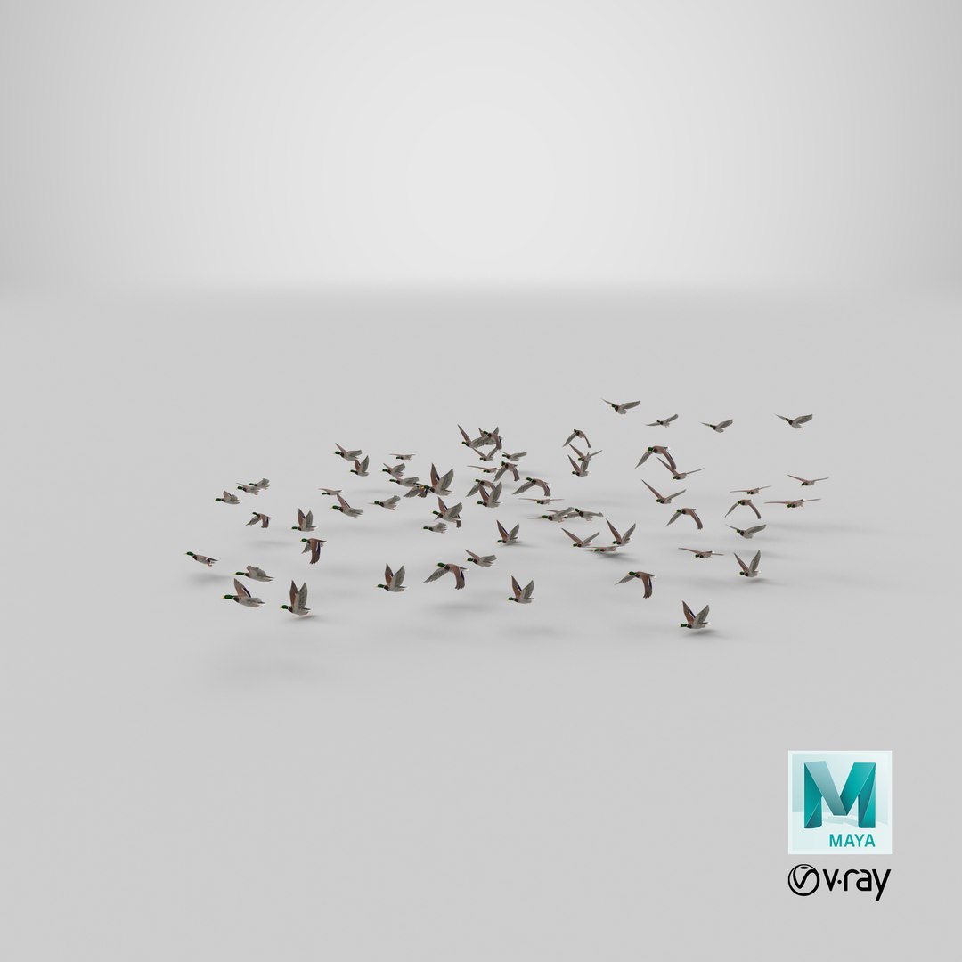 Large flock ducks flying 3D model - TurboSquid 1311978