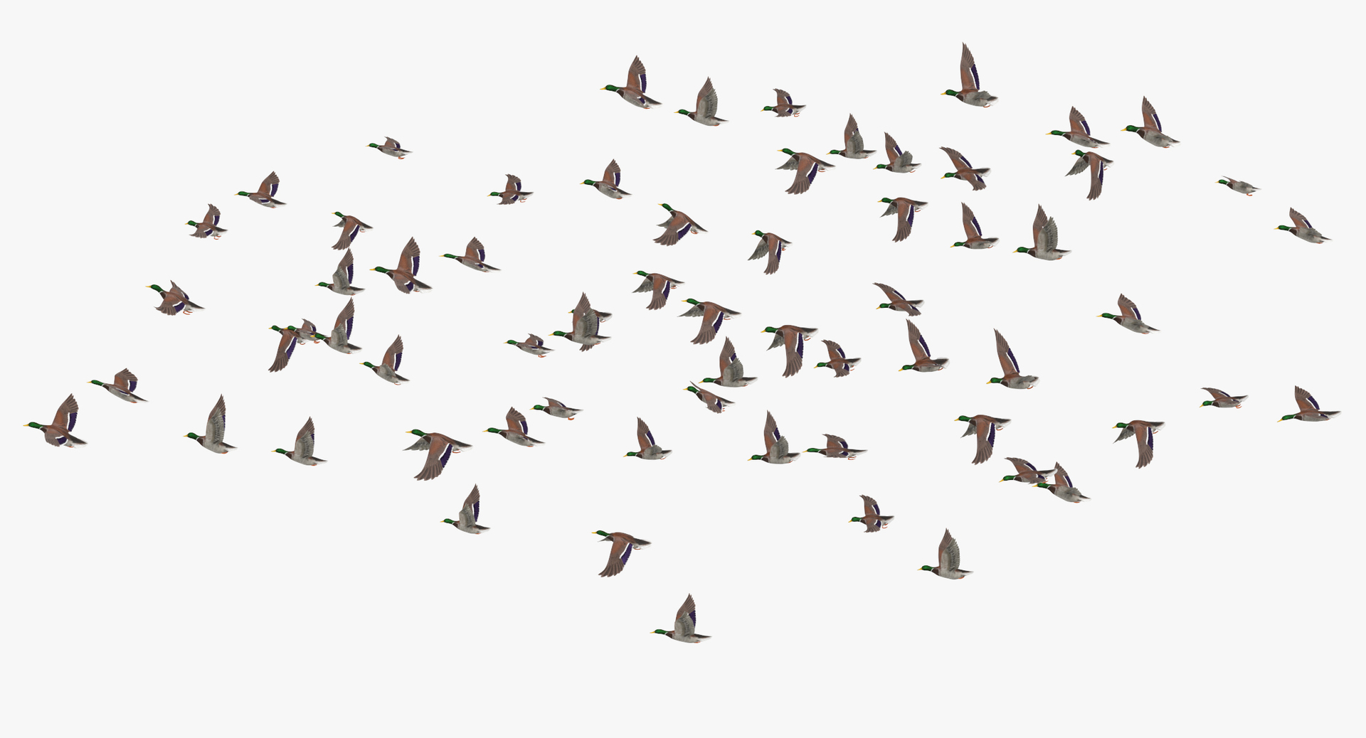 modelo 3d Flock Ducks grandes volando 03 - TurboSquid 1311978