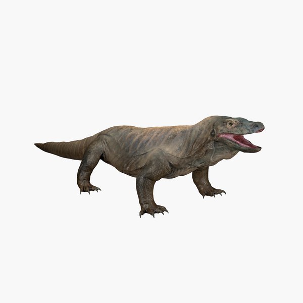 Lizard Walk 3D Models for Download | TurboSquid