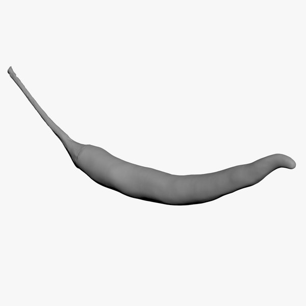 modelo 3d Chili Pepper 02 para impresión 3D - TurboSquid 2392672