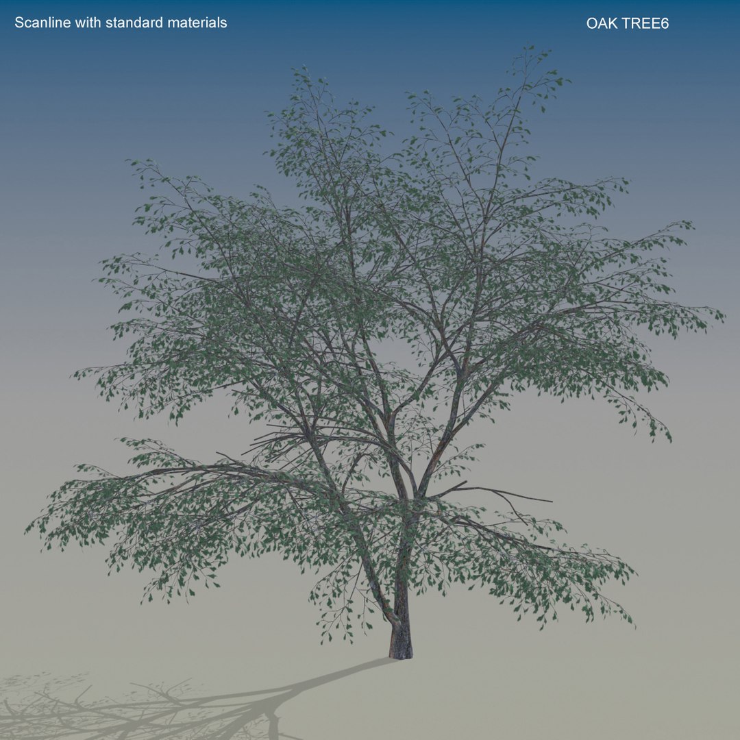 Realistic oak woods trees 3D model - TurboSquid 1360855