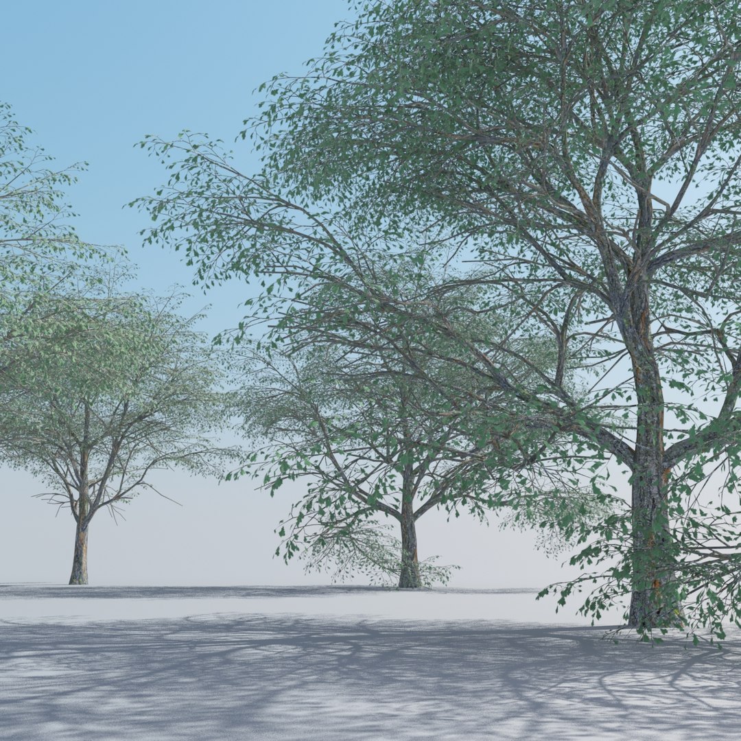 Realistic Oak Woods Trees 3D Model - TurboSquid 1360855
