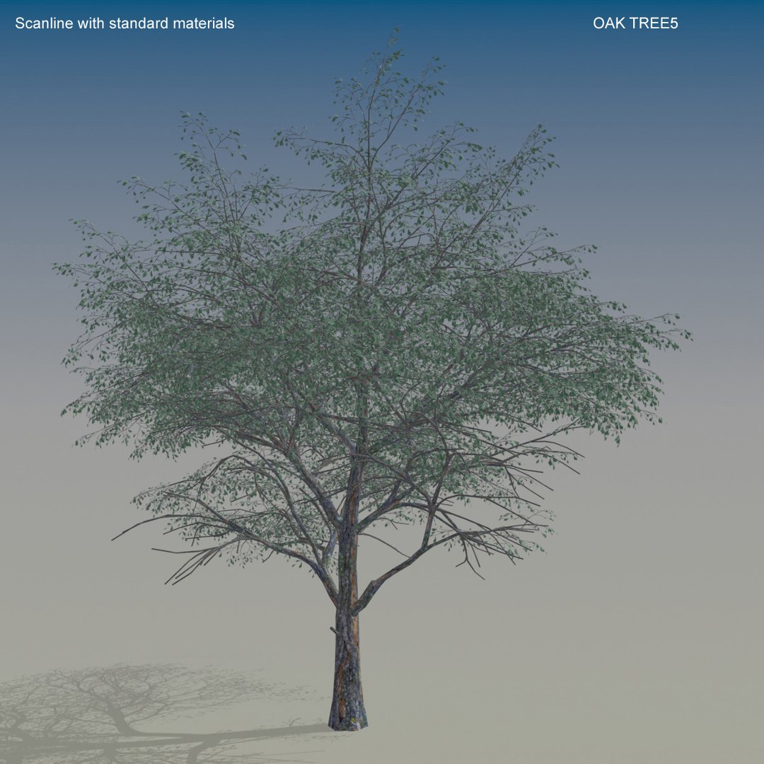 Realistic oak woods trees 3D model - TurboSquid 1360855