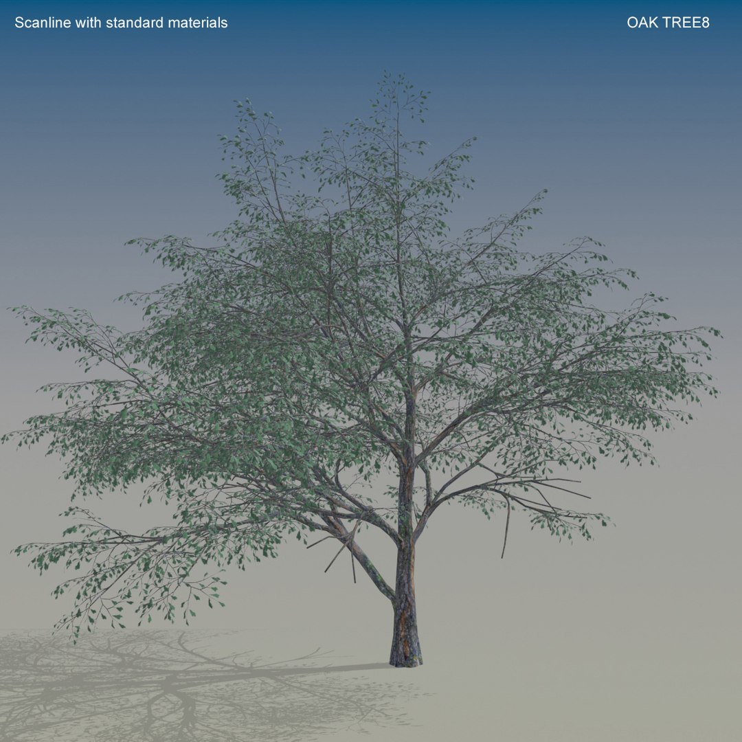 Realistic oak woods trees 3D model - TurboSquid 1360855