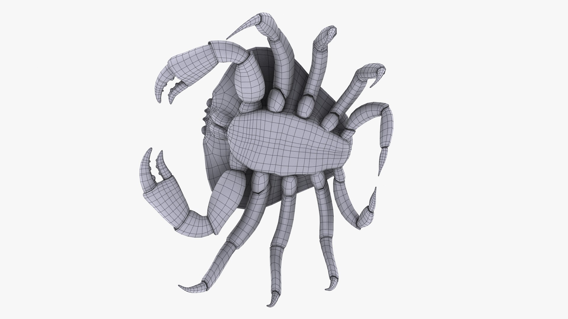 Crab Animal Crustacean 3D Model - TurboSquid 1580023