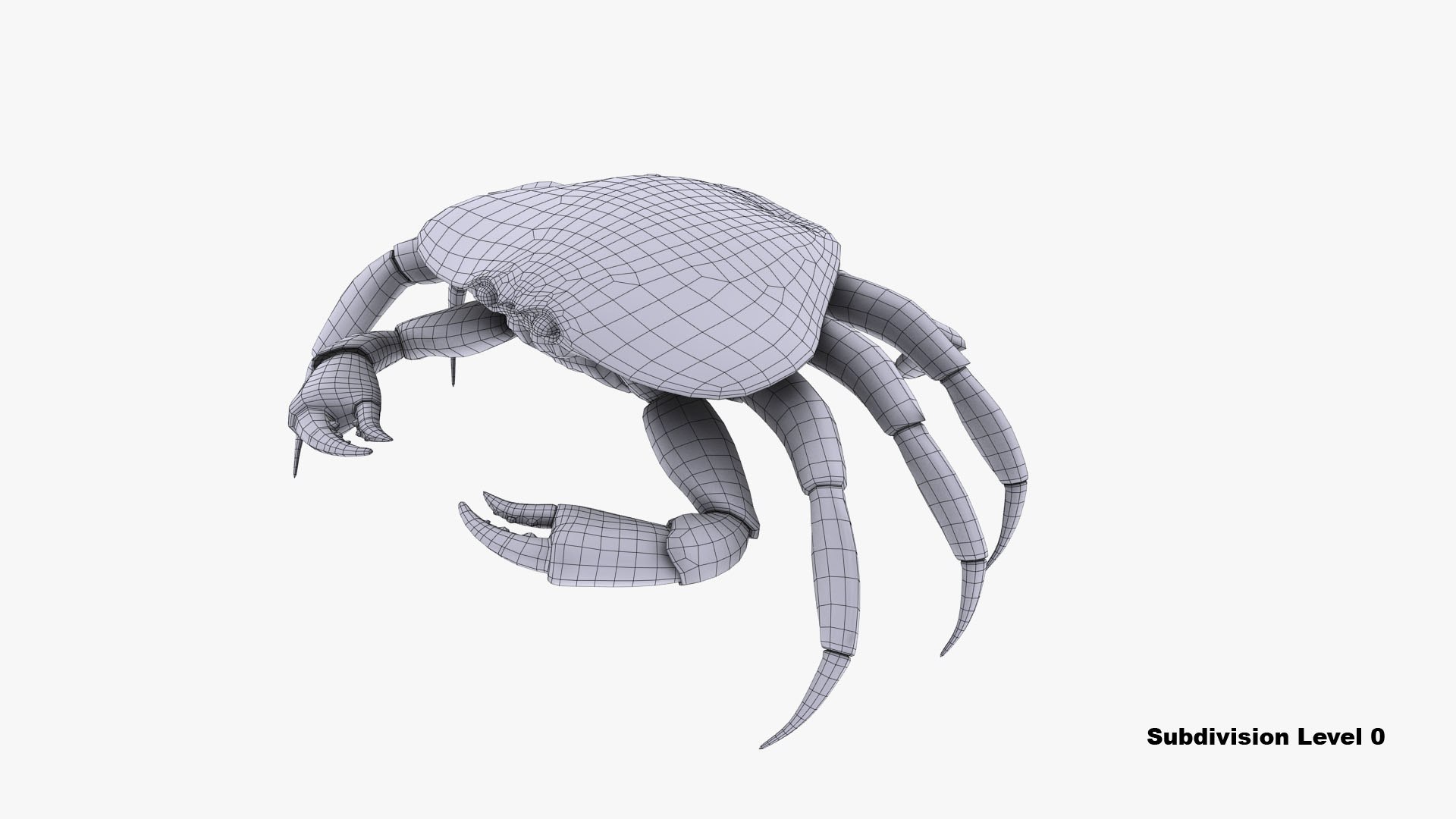 Crab Animal Crustacean 3D Model - TurboSquid 1580023
