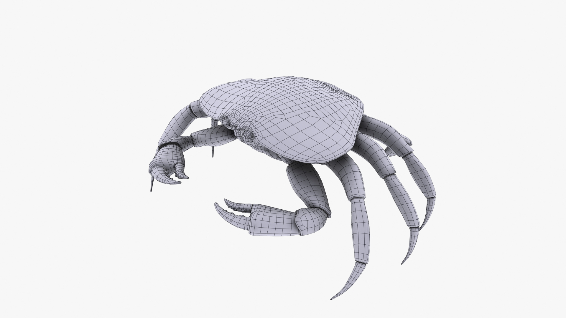 Crab Animal Crustacean 3D Model - TurboSquid 1580023