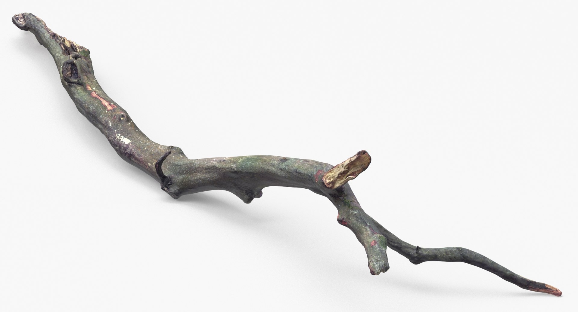 Fallen Branch 03 3D Model - TurboSquid 1868818