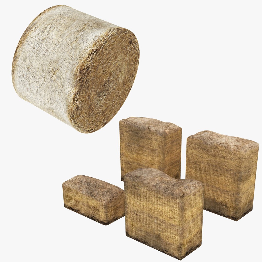 Straw Collection 3D Model - TurboSquid 2344779