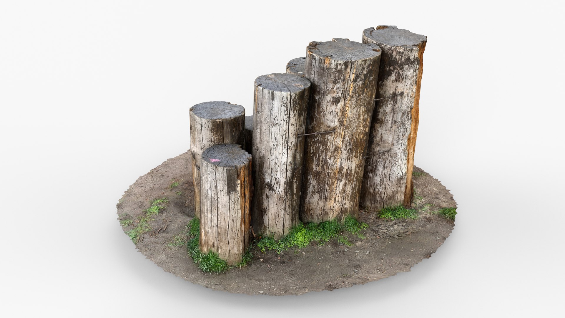 3D Tree Stump Cluster Logs - Photogrammetry 3D Scan - TurboSquid 2387477