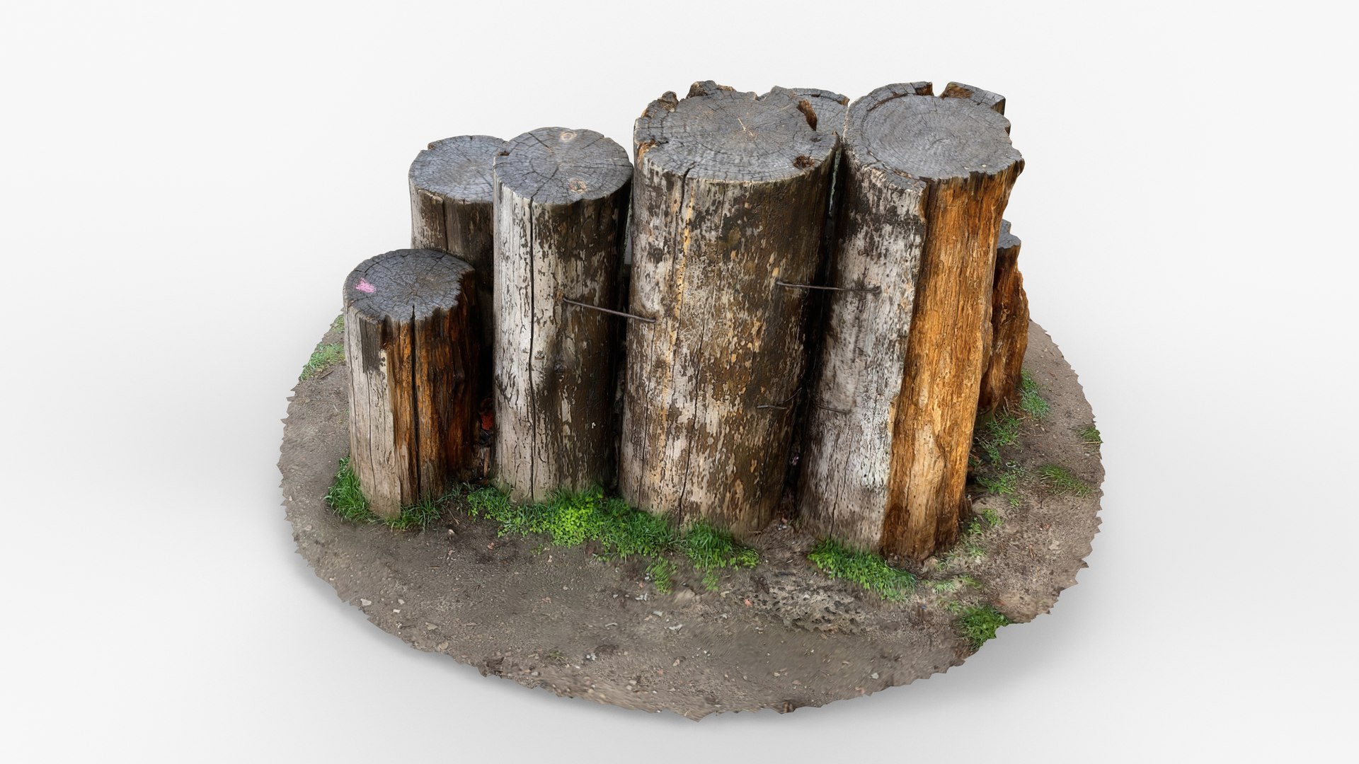 3D Tree Stump Cluster Logs - Photogrammetry 3D Scan - TurboSquid 2387477