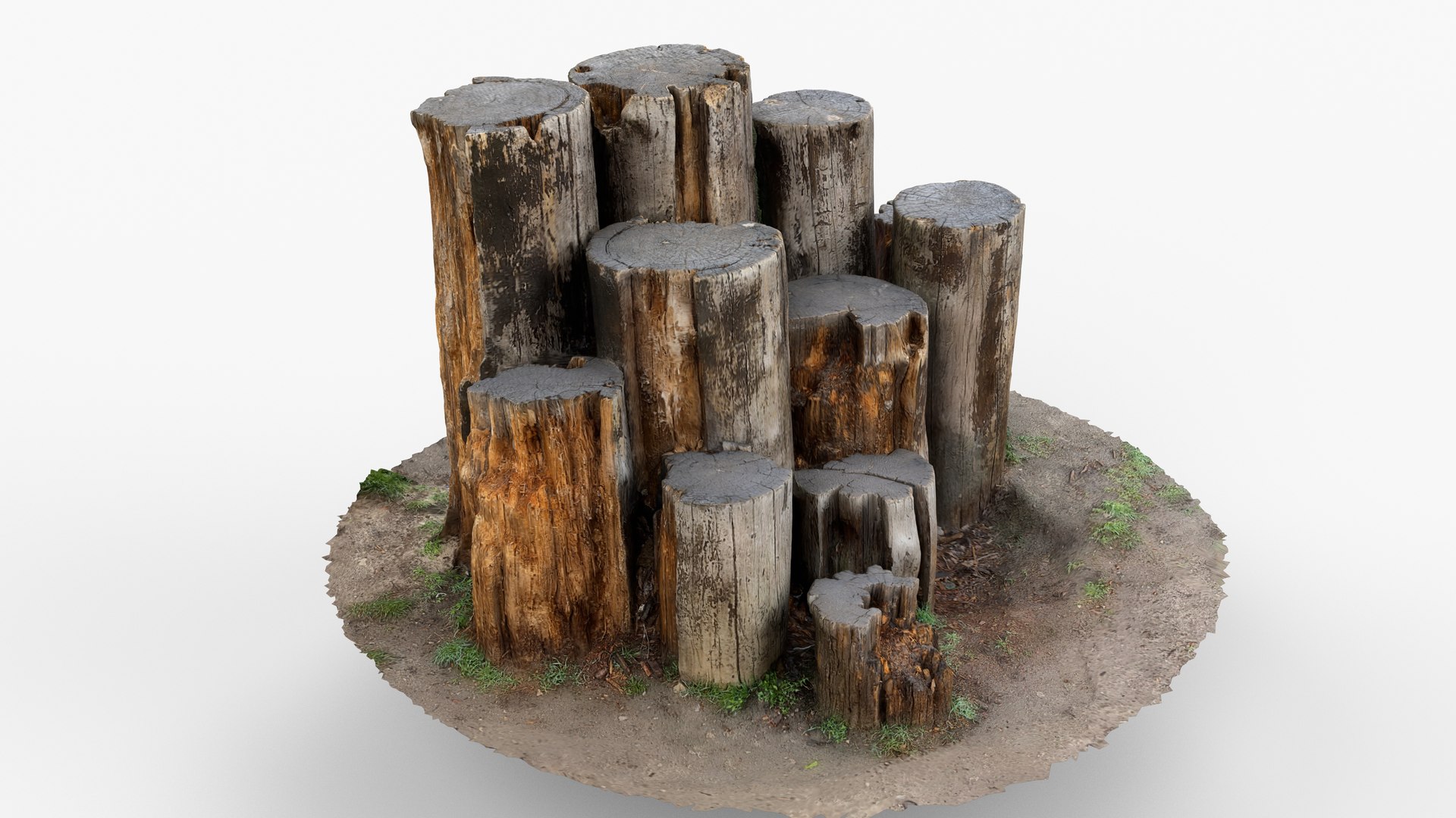 3D Tree Stump Cluster Logs - Photogrammetry 3D Scan - TurboSquid 2387477