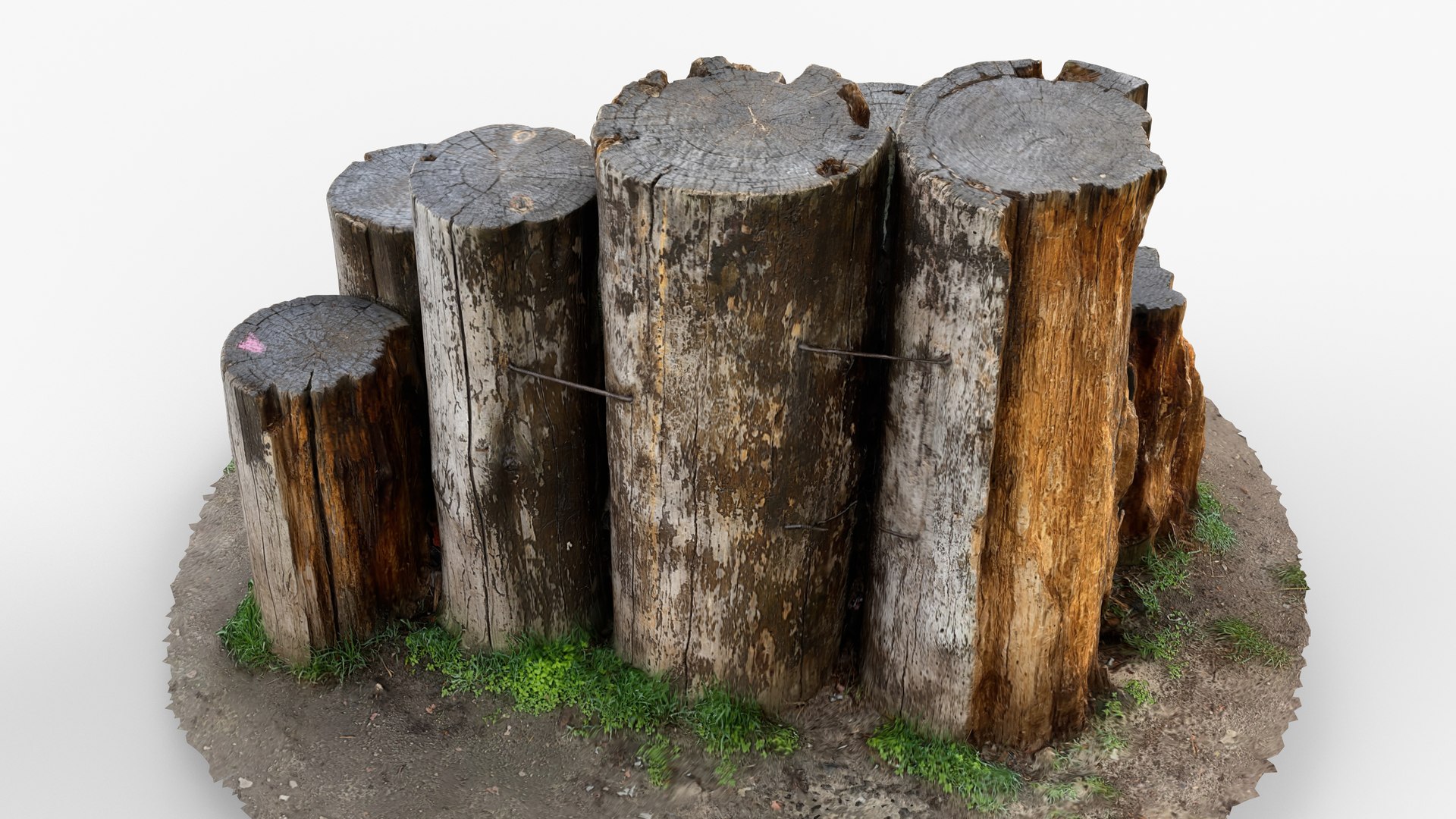 3D Tree Stump Cluster Logs - Photogrammetry 3D Scan - TurboSquid 2387477