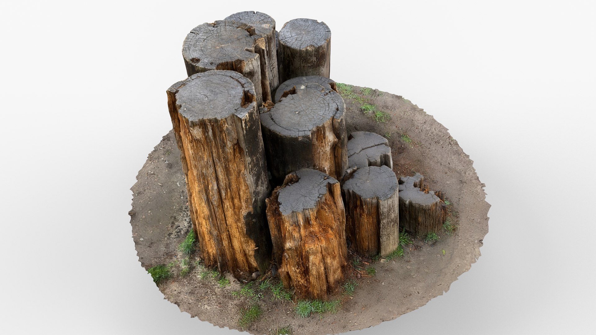3D Tree Stump Cluster Logs - Photogrammetry 3D Scan - TurboSquid 2387477