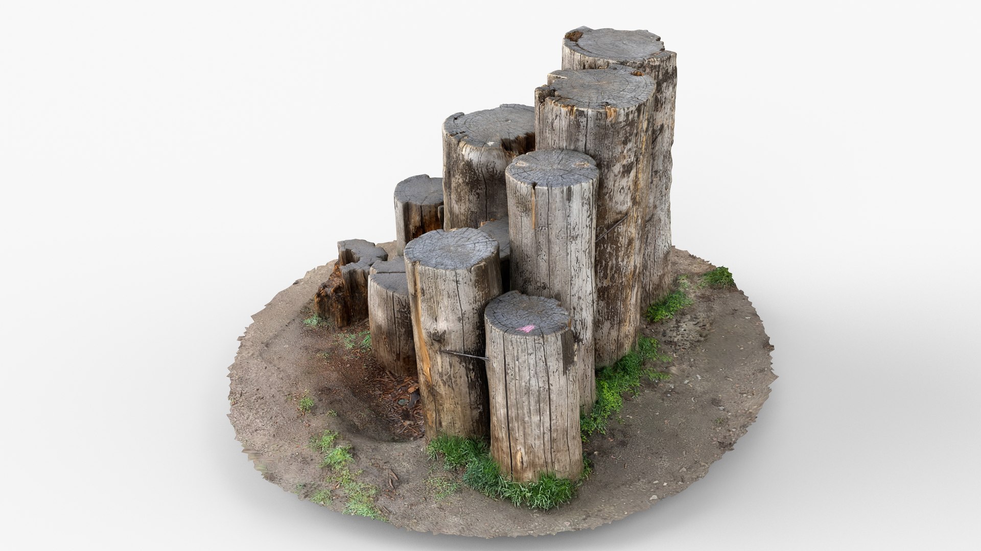 3D Tree Stump Cluster Logs - Photogrammetry 3D Scan - TurboSquid 2387477