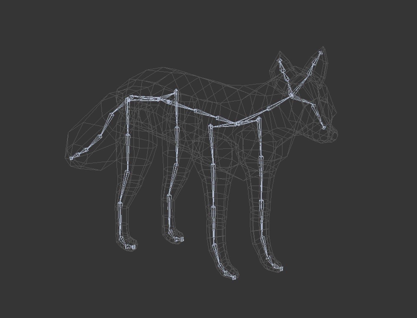 Free 3D Model Fox Rigged - TurboSquid 1382014
