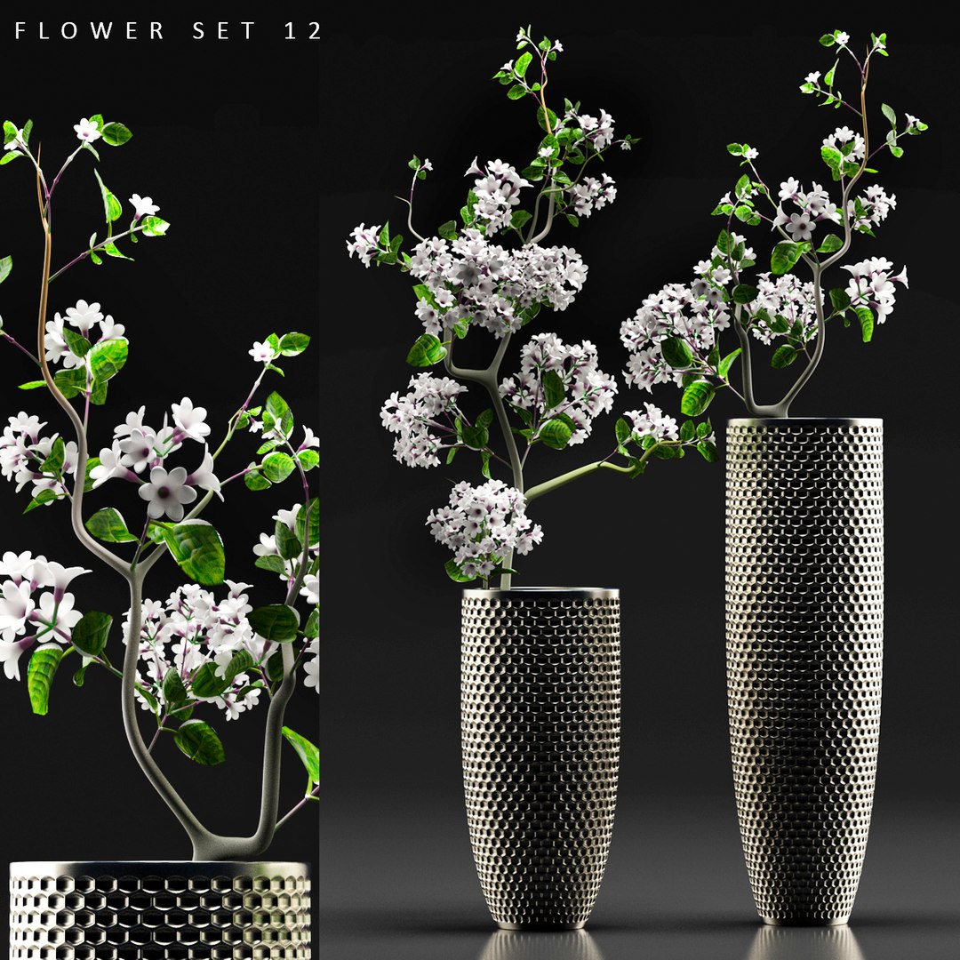 3d Model Flower Vase Set 12
